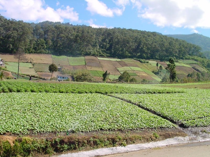 Quetzaltenango | Turismo Rural Guatemala